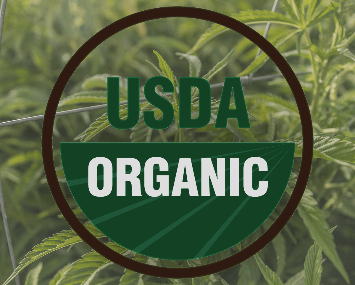 Certified Organic Hemp A Small But Growing Industry Niche Fueled By Consumer Demand Hemp